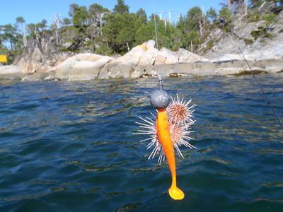 Angeln in Norwegen - Gummifischangeln | Angelzeile.com